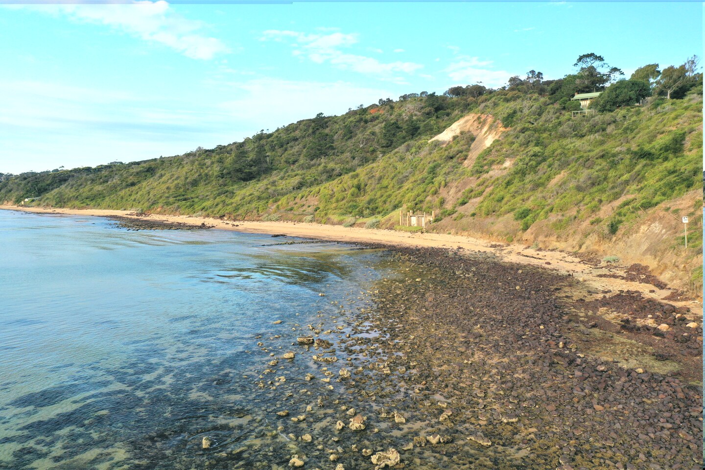Mixed Naturist beach day at Sunnyside North - with optional dinner at ...